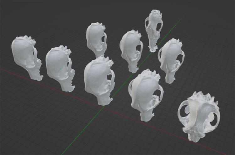 Dog_Array_remake – Waldrop Lab